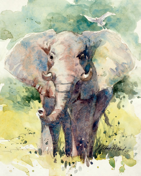 Symbiotica by Julie Gilbert Pollard | Artwork Archive