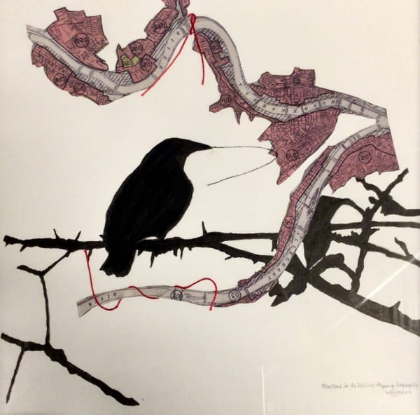 Blackbird in the Red Line — Mapping Inequality from the collection of ...