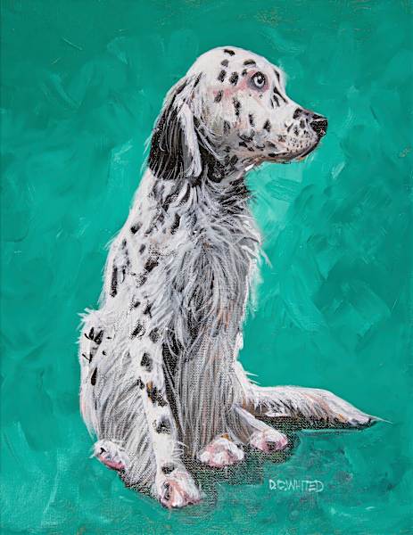 English Setter by David Whited | Artwork Archive