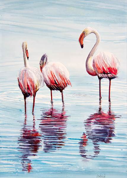 Three flamingos, South Africa by David Whited | Artwork Archive