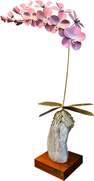 Orchid Flower Pink from the collection of Life 'n Arts Gallery ...