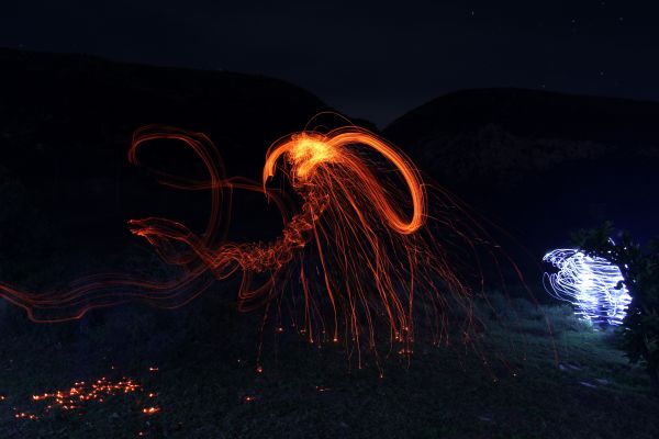 Night Creatures by Marcus Neustetter | Artwork Archive