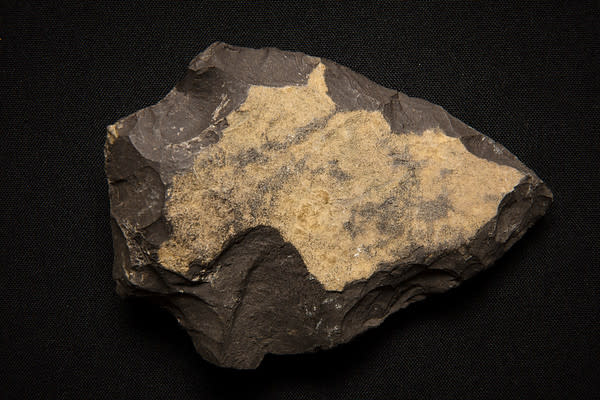 Untitled 24 From The Collection Of Hudson County Community College Artwork Archive