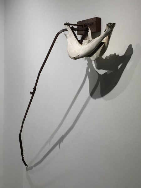 Saw Animal by Paddy Lamb | Artwork Archive