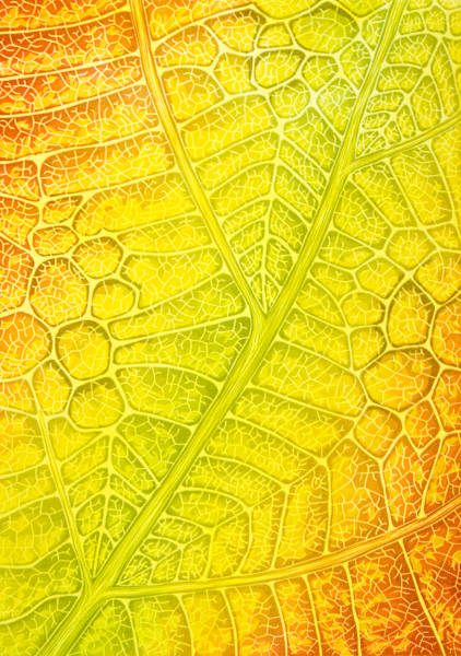 Highways of Life by Elizabeth Busey | Artwork Archive