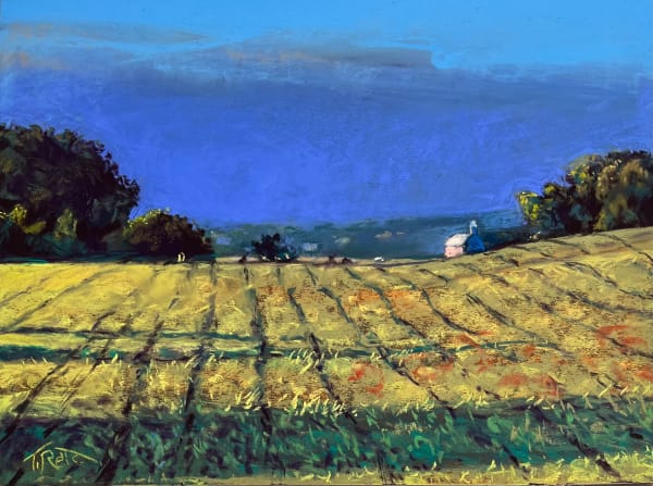 2022/102. TOUCHES OF LIGHT by Toby Reid | Artwork Archive