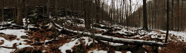 Devil Path Log by Alan Powell | Artwork Archive