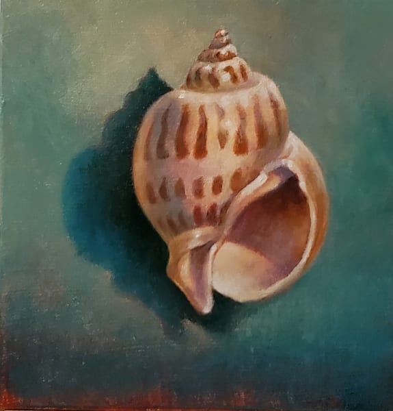 "Shell #1" by Elaine Guitar | Artwork Archive