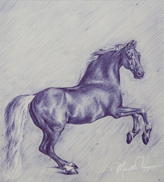 Whistlejacket by Mirelle Vegers | Artwork Archive