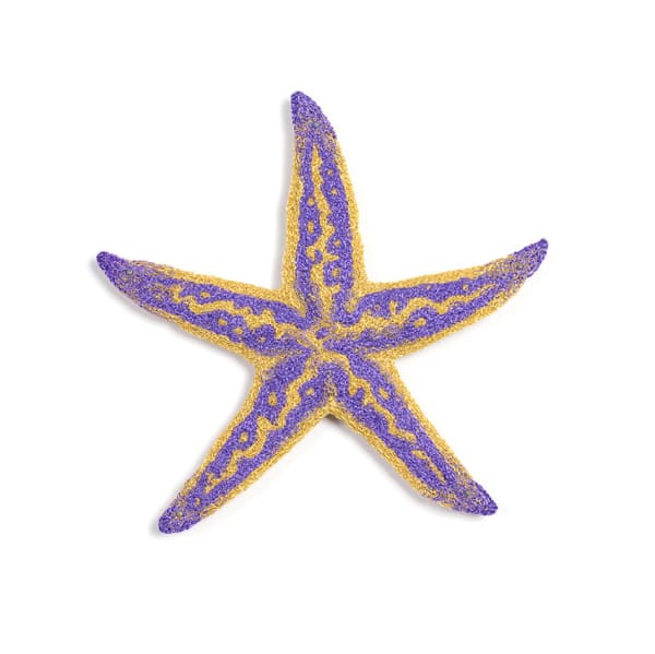 #91 Northern Pacific Sea Star by Meredith Woolnough | Artwork Archive