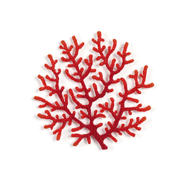 #20 Red Coral Circle by Meredith Woolnough | Artwork Archive