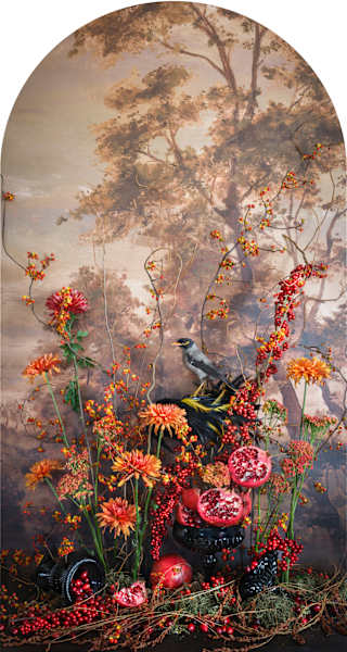 Common Myna with Cranberry Pomegranate Nesting by JP Terlizzi | Artwork ...