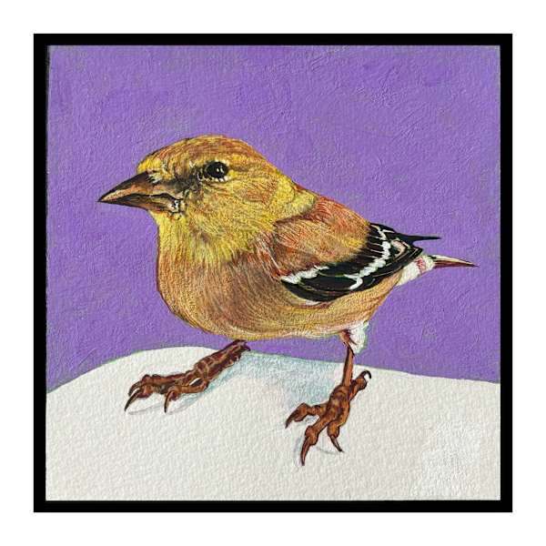 Goldfinch #2 by Paige Wallis | Artwork Archive