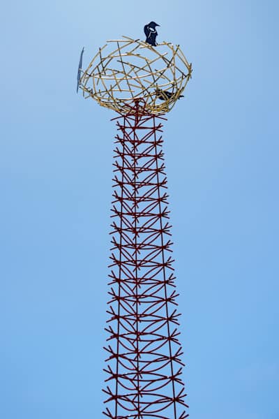 Where Have All the Birds Gone? by Marguerite Elliot | Artwork Archive