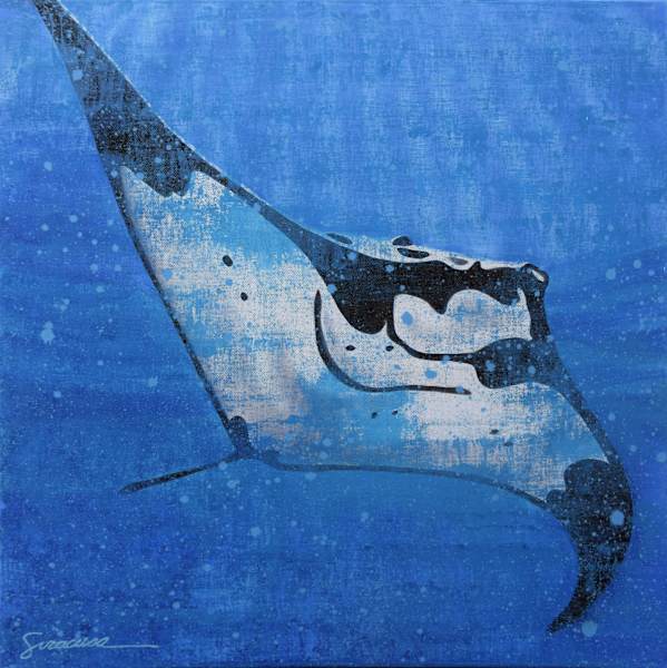 Manta Ray, Number 3 from the collection of BARE Walls | Artwork Archive