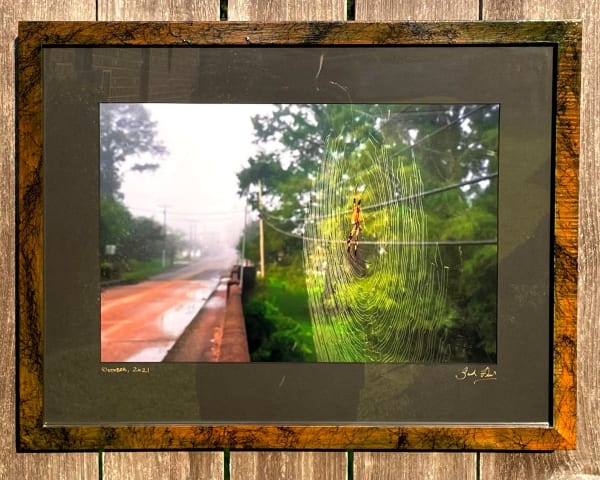 Courtableau Cobweb from the collection of BARE Walls | Artwork Archive