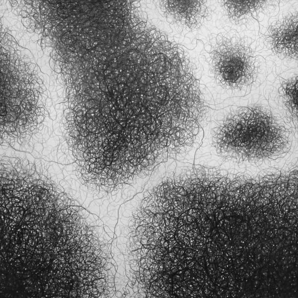 PICK drawing by Judi Tavill | Artwork Archive