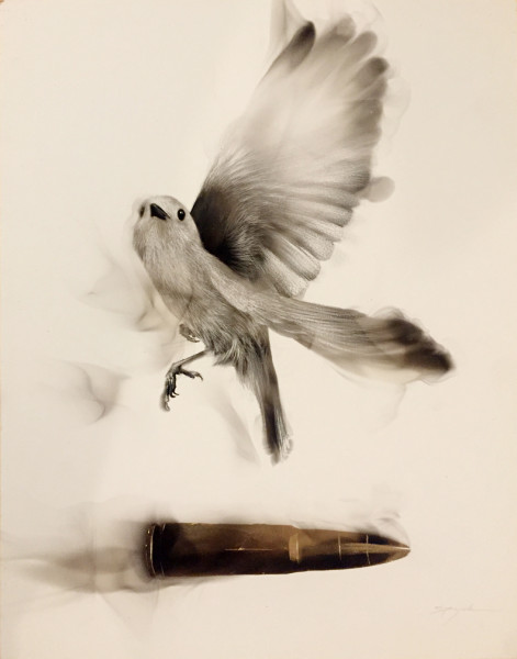 Dodging the Bullet by Steven Spazuk | Artwork Archive
