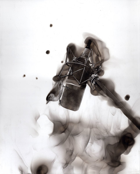 Vaporous Sound by Steven Spazuk | Artwork Archive