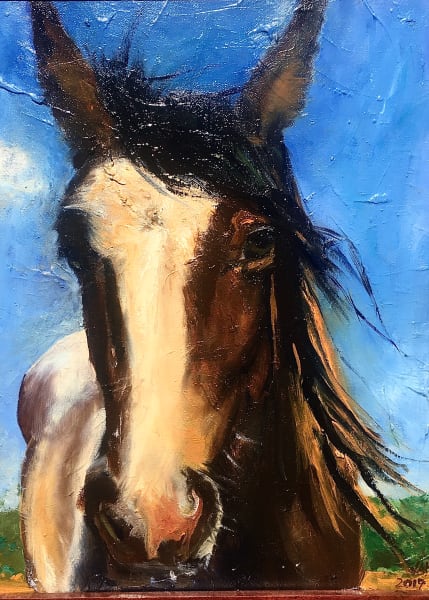 Shoshone by Judith Hutcheson | Artwork Archive