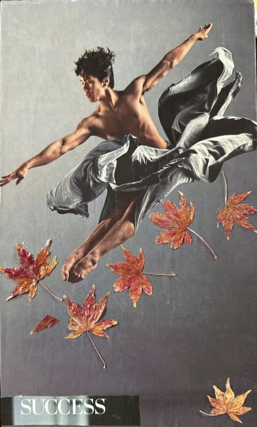 Leap into Success by Robin Moore | Artwork Archive