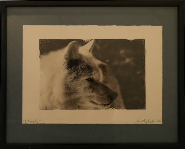 Majesty by Lisa Libretto | Artwork Archive