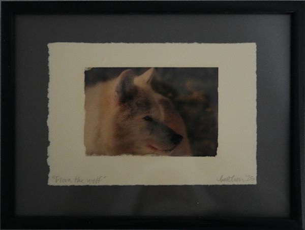 Flora the wolf by Lisa Libretto | Artwork Archive