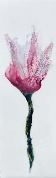Blush Study by Lisa Libretto | Artwork Archive