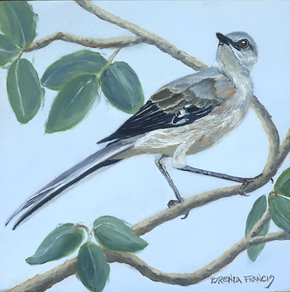 Beware the Mockingbird by Brenda Francis | Artwork Archive