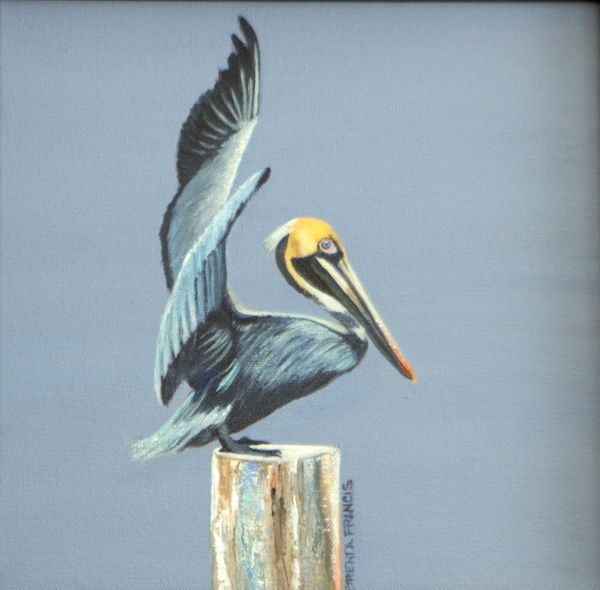 PELICAN 1 by Brenda Francis | Artwork Archive