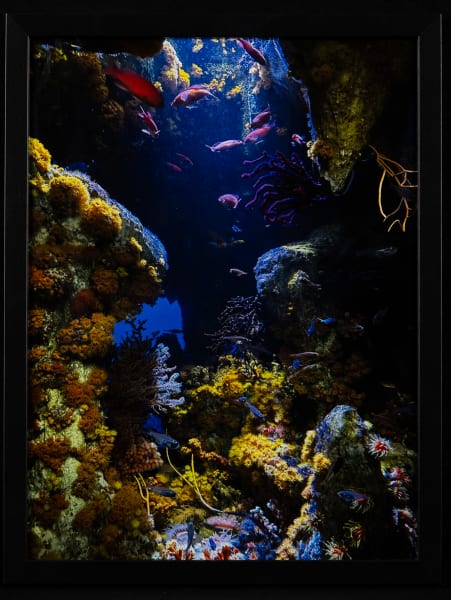 Where Mermaids Sing from the collection of Arts@MSP | Artwork Archive