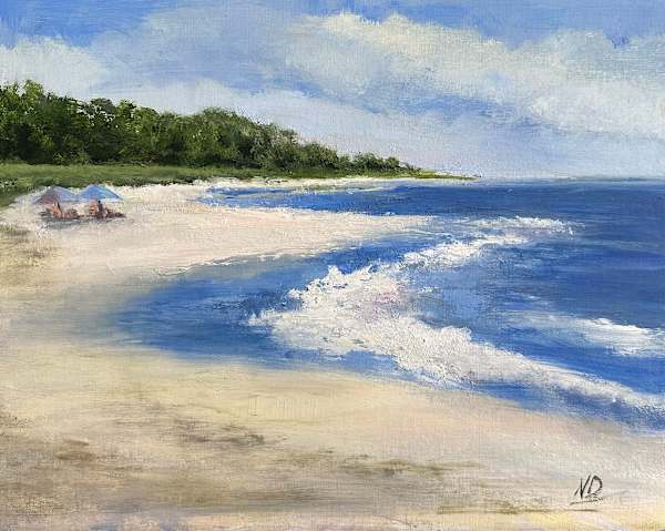 Windy Hunting Island Day by Nancy Dwight | Artwork Archive