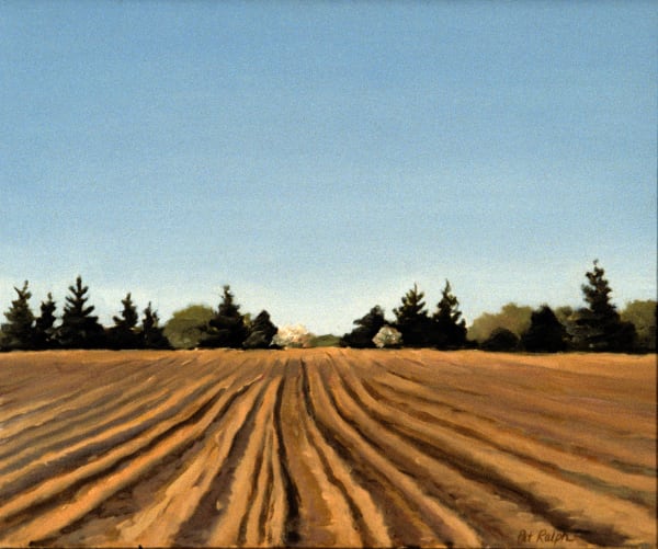 Southampton Field by Pat Ralph | Artwork Archive