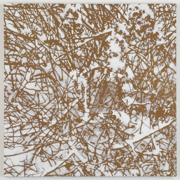 Network 13 by Daniel Kohn | Artwork Archive