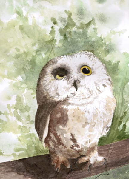 Droo Droo by Chantal | Artwork Archive