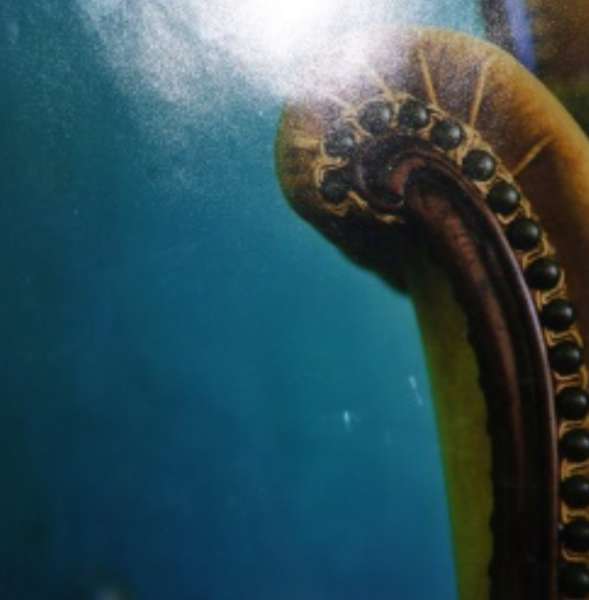 The Couch from the collection of Kanyer Art Collection | Artwork Archive