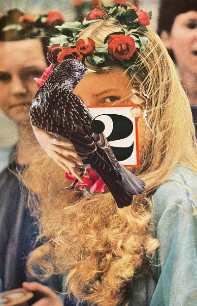 Midsummer from the collection of Kanyer Art Collection | Artwork Archive