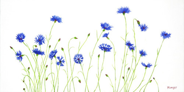 Bachelor Buttons by Roseann Munger | Artwork Archive