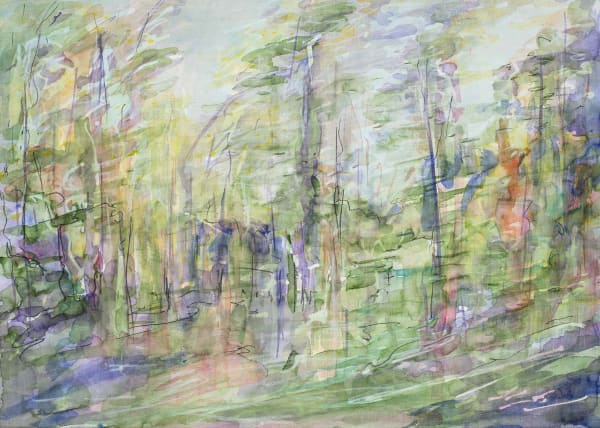 Victorian bushland by Amanda van Gils | Artwork Archive
