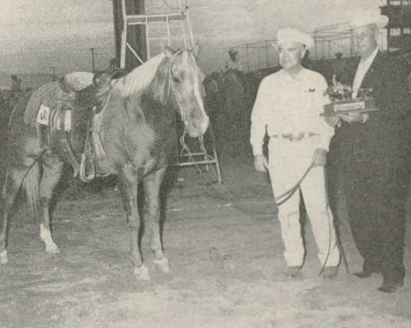 1964-1993 : NCHA Non-Pro World Finals Champions from the collection of ...