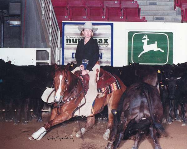 Sandy Henderson from the collection of NCHA Foundation | Artwork Archive