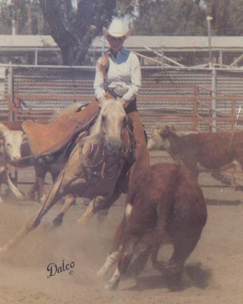 Gold Rush from the collection of NCHA Foundation | Artwork Archive