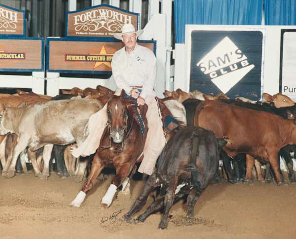 Jim Haworth from the collection of NCHA Foundation | Artwork Archive