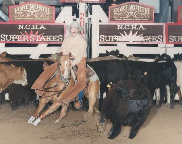 Jay Hall from the collection of NCHA Foundation | Artwork Archive