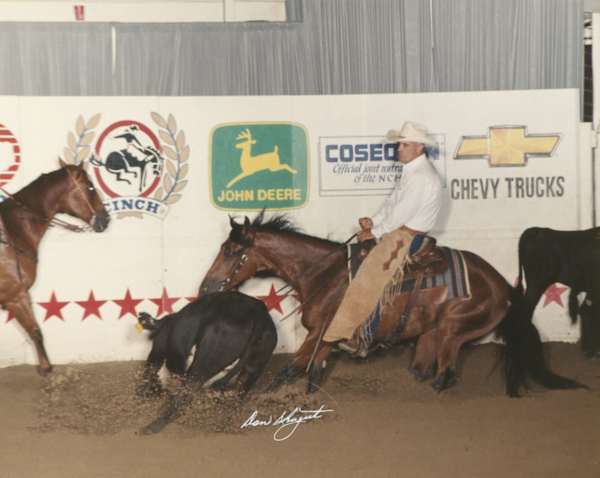 Gary Merritt from the collection of NCHA Foundation | Artwork Archive