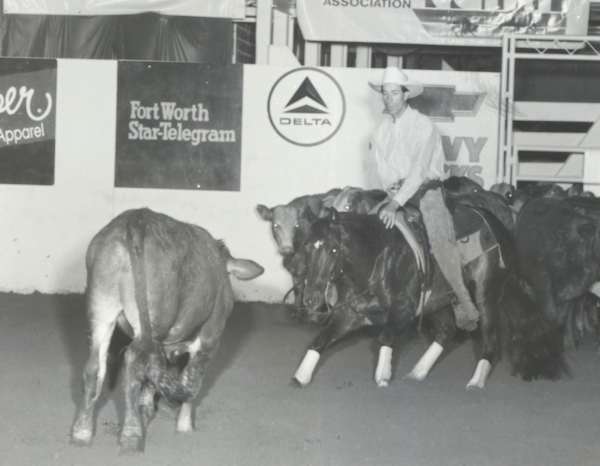 High Brow Cat from the collection of NCHA Foundation | Artwork Archive