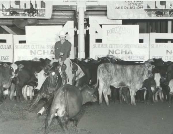 Pep N Jessie from the collection of NCHA Foundation | Artwork Archive