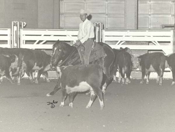Shorty Freeman from the collection of NCHA Foundation | Artwork Archive