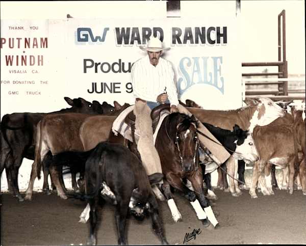 Steve Bates from the collection of NCHA Foundation | Artwork Archive