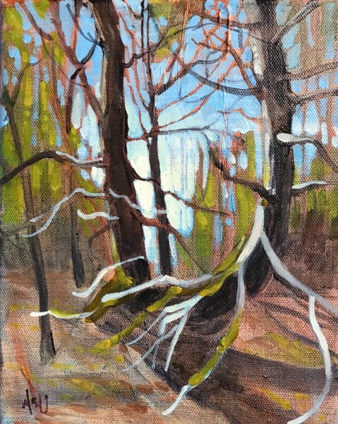 Curved Pine, Early Spring, Laurentian Valley by Angela St Jean ...